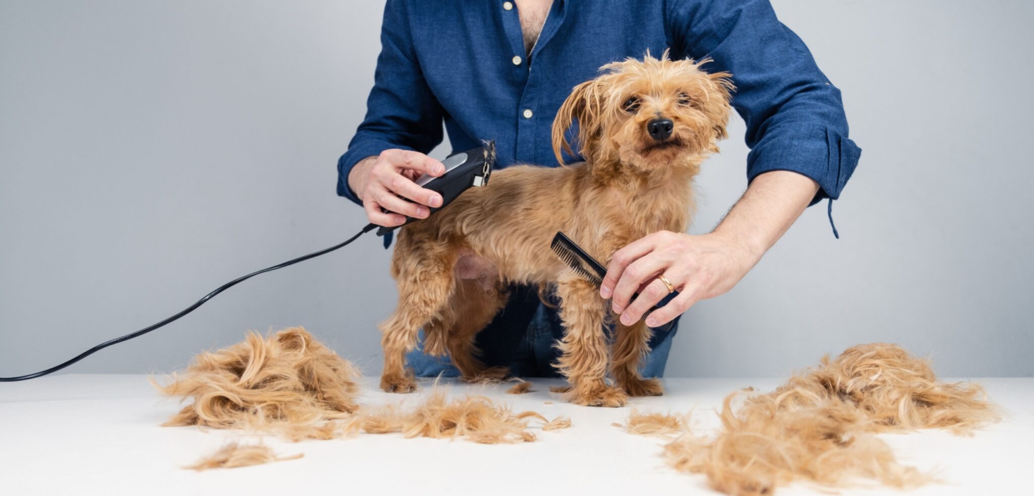 How Long Does Grooming a Dog Take? A Complete Guide