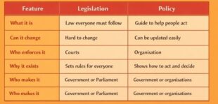 Difference Between Legislation and Policy in Simple Terms
