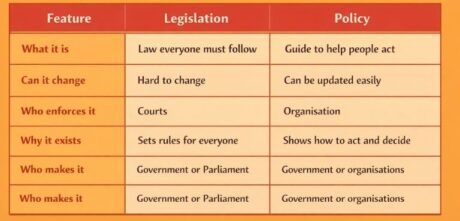 Difference Between Legislation and Policy in Simple Terms